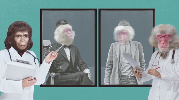 Monos | Por la Razón y la Ciencia | educarchile
